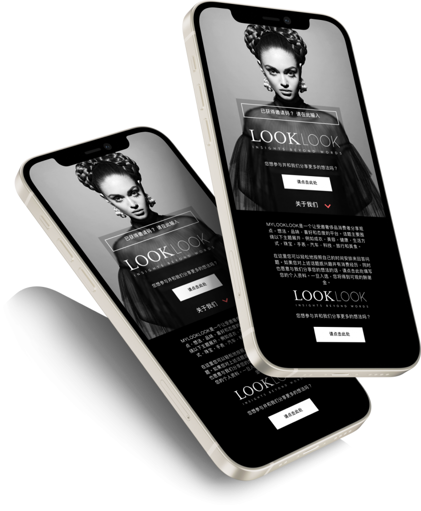 LookLook – Insights Beyond Words